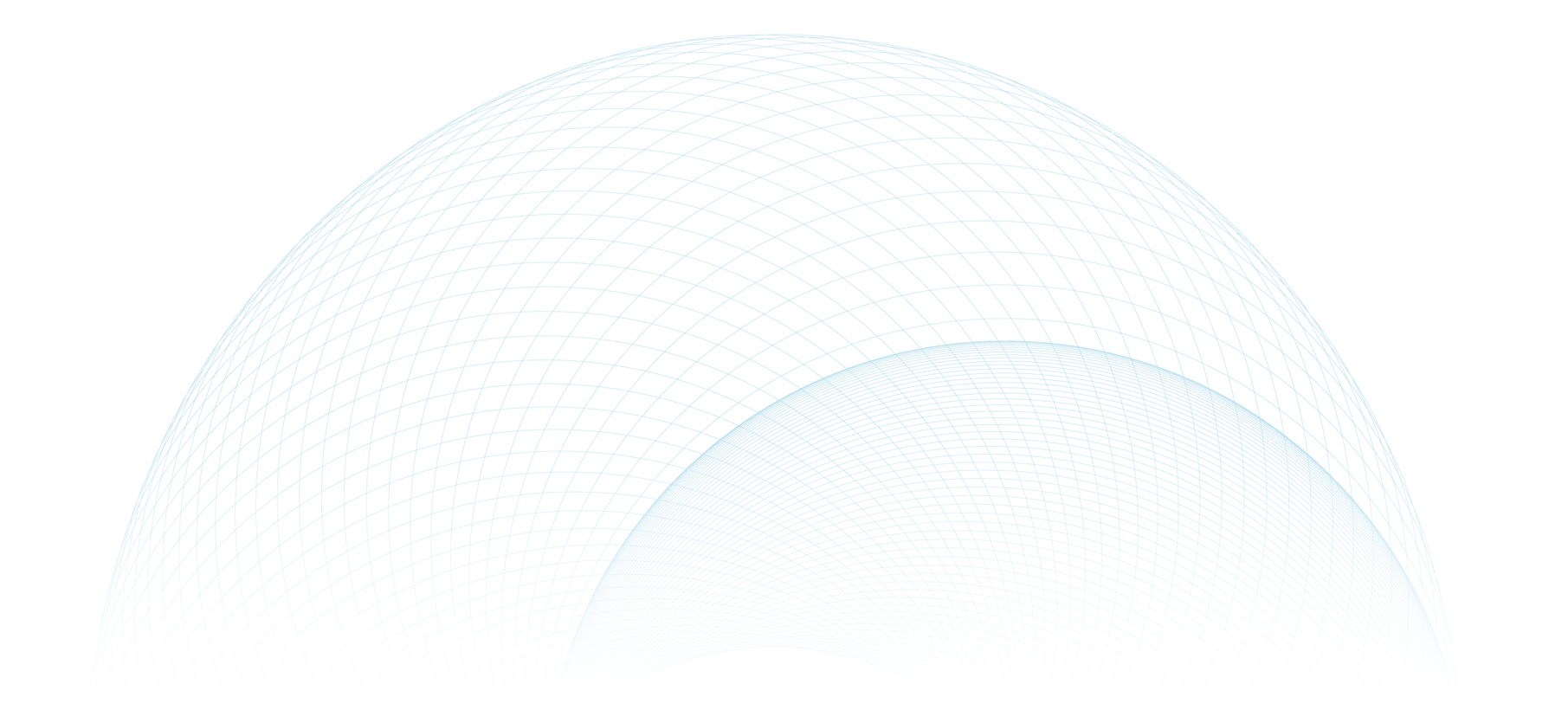 Learn about Pipol, an International ERP Virtual Consultancy